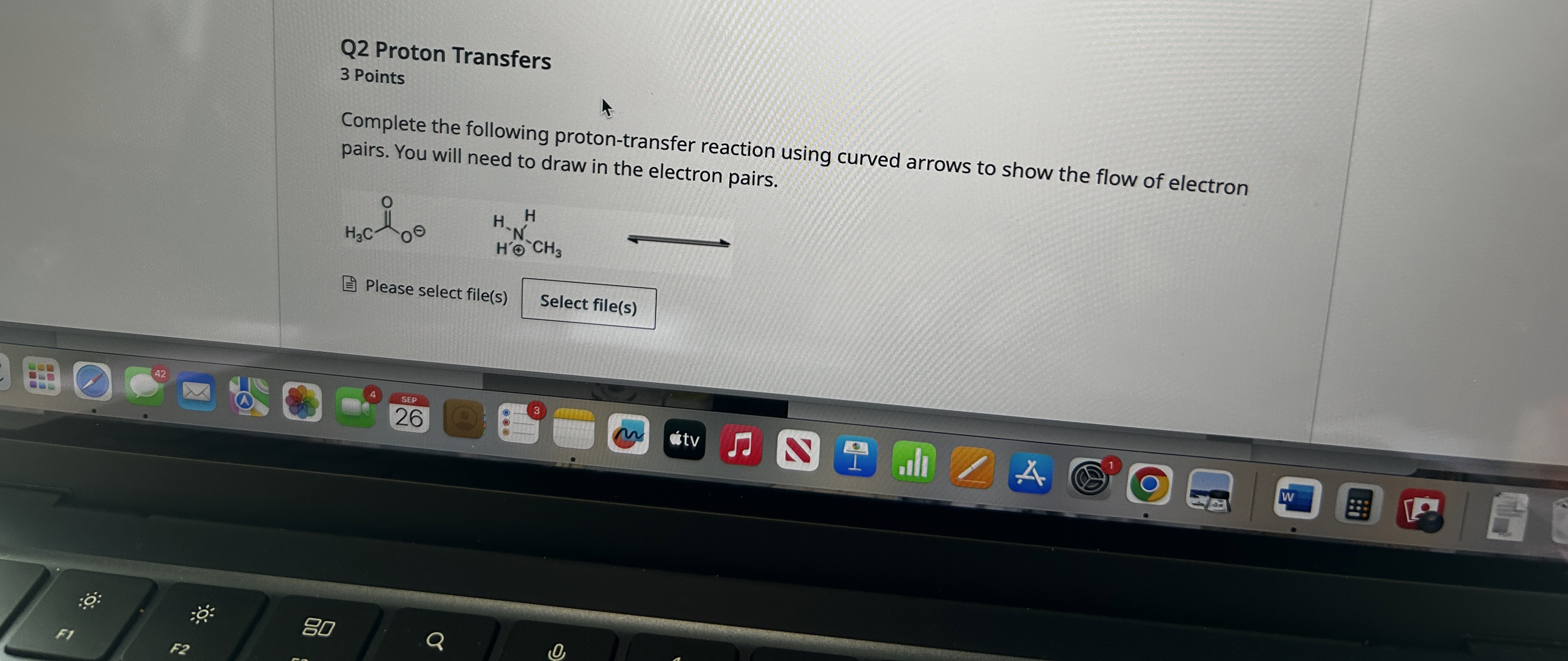 Solved Q2 ﻿Proton Transfers3 ﻿PointsComplete the following | Chegg.com