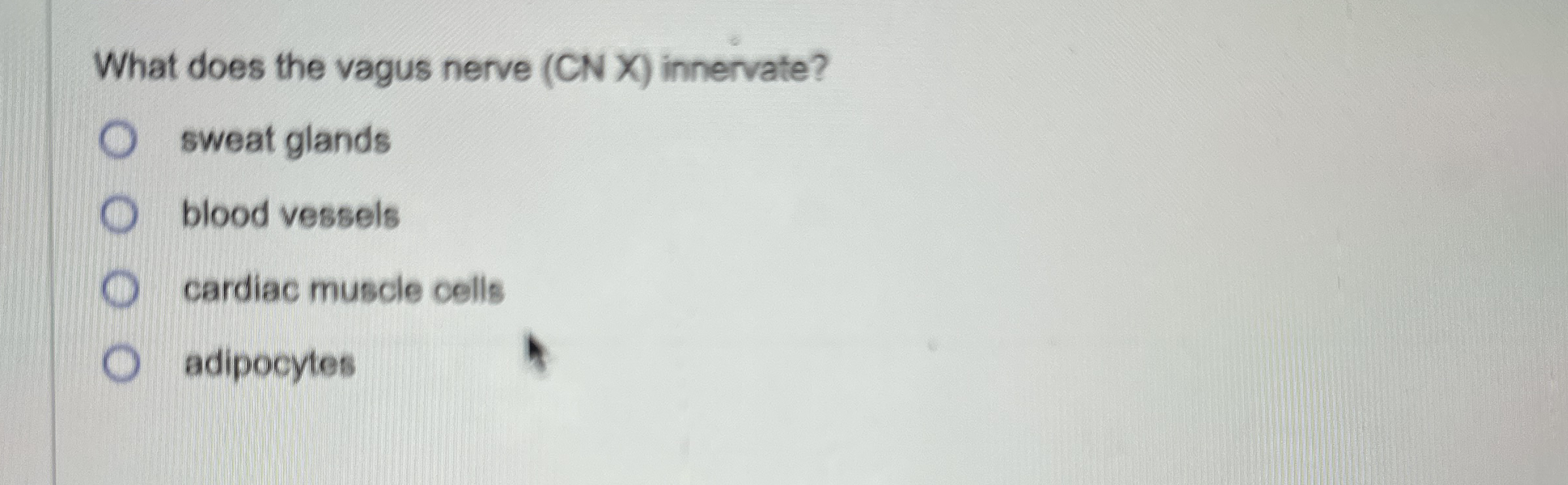 Solved What does the vagus nerve (CNx) ﻿innervate?sweat | Chegg.com