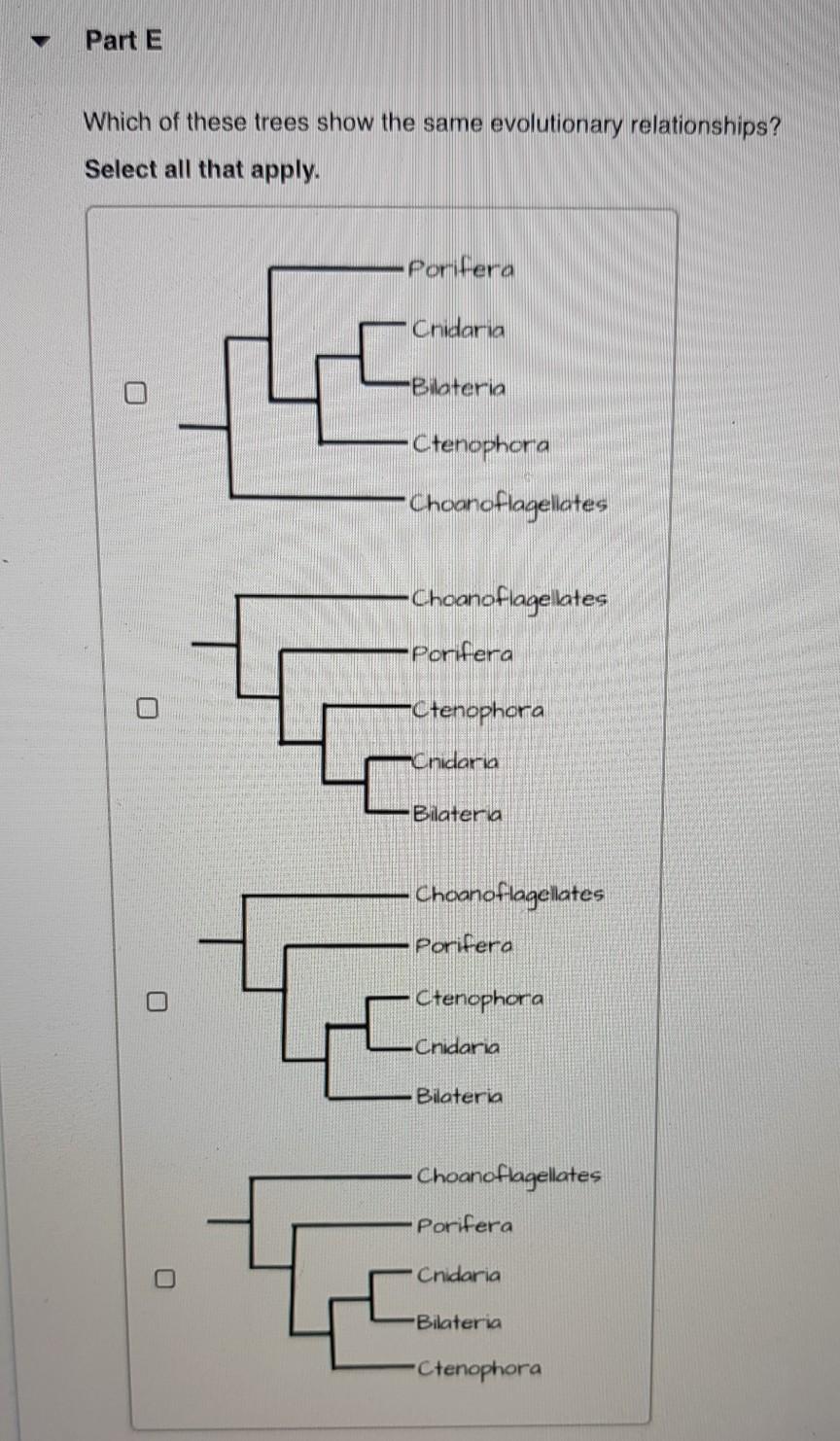 Solved Part E Which of these trees show the same | Chegg.com