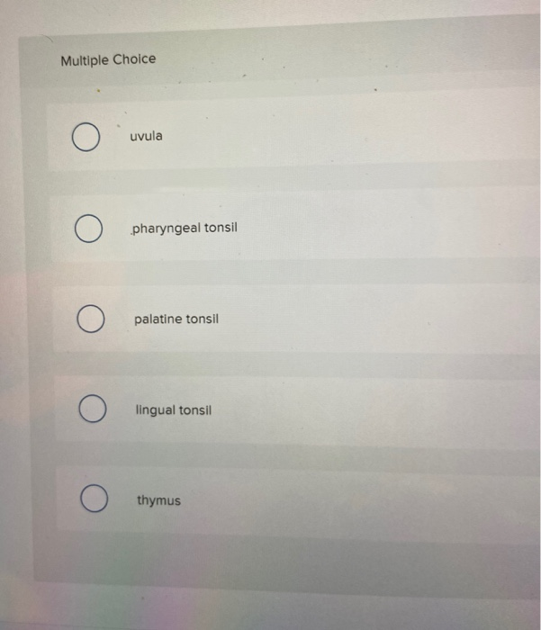 Solved Which structure is highlighted? Multiple Choice | Chegg.com