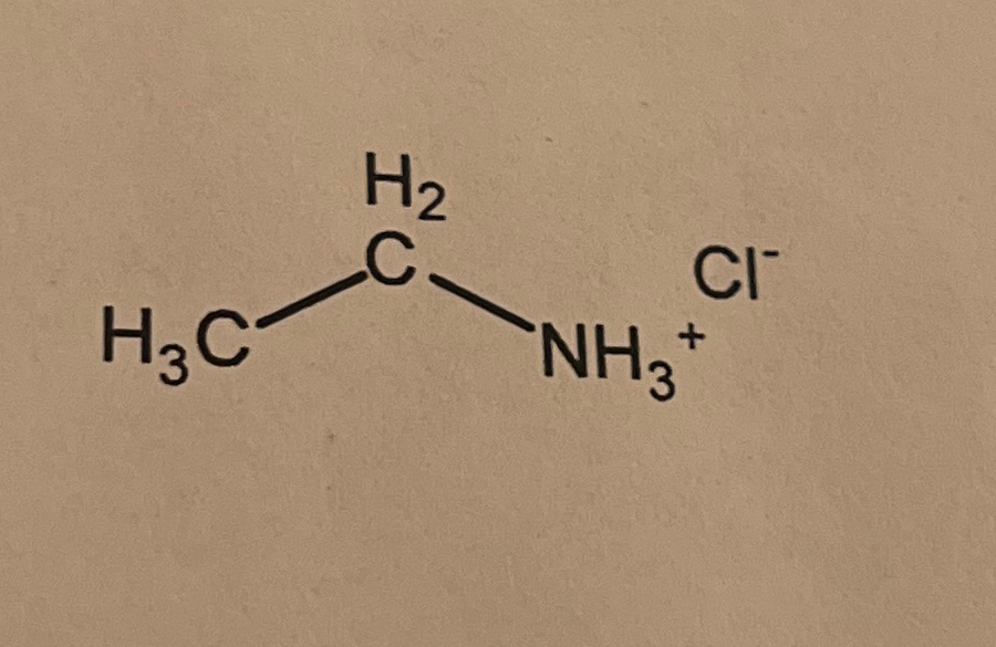 Solved Is this primary, secondary, ﻿or tertiary, or ammonium | Chegg.com
