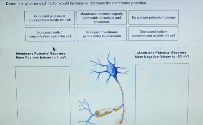 Solved Determine whether each factor would increase or | Chegg.com