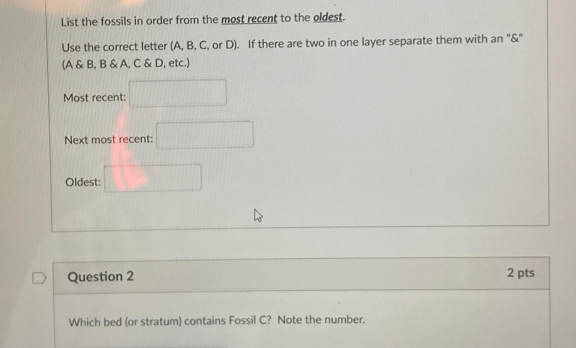 Solved List the fossils in order from the most recent to the | Chegg.com