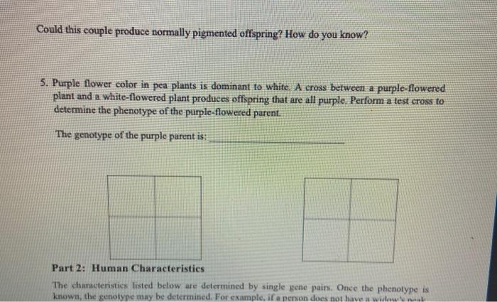 Solved Part 1: Monohybrid (One Factor) Crosses A cross | Chegg.com
