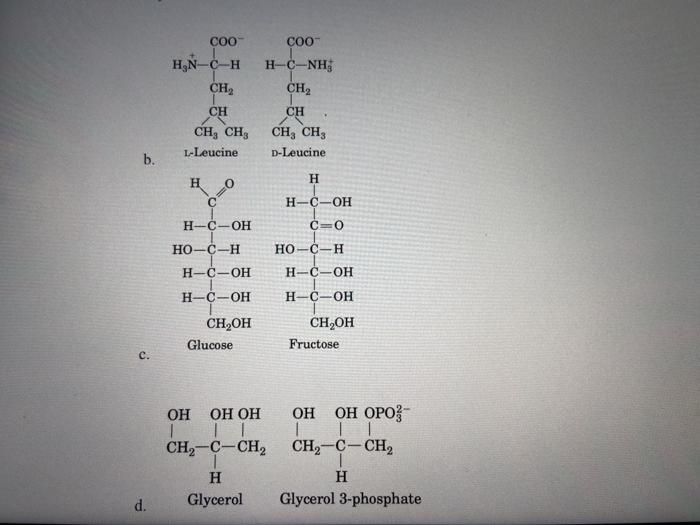 Solved 10. For the following pairs of biomolecules, identify | Chegg.com