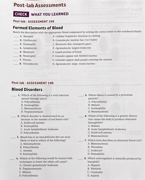 Solved Post-lab Assessments CHECK WHAT YOU LEARNED Post-lab | Chegg.com
