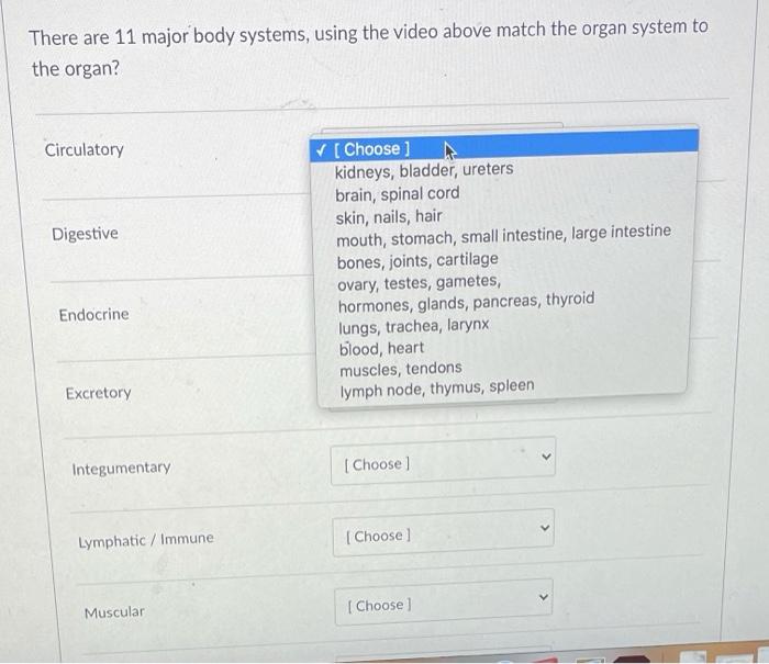 solved-there-are-11-major-body-systems-using-the-video-chegg