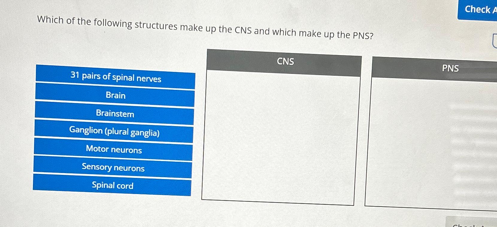 Solved Which of the following structures make up the CNS and | Chegg.com