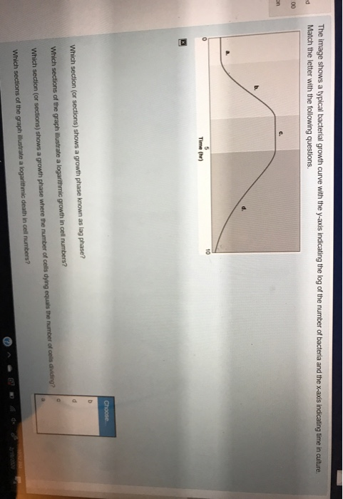 Solved The image shows a typical bacterial growth curve with | Chegg.com