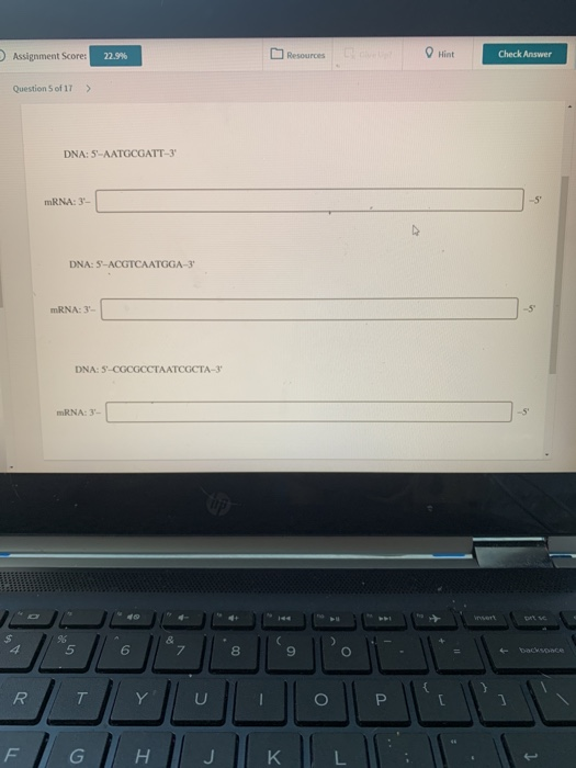Solved Assignment Score: 22.9% Resources cu caps Hint Hint | Chegg.com