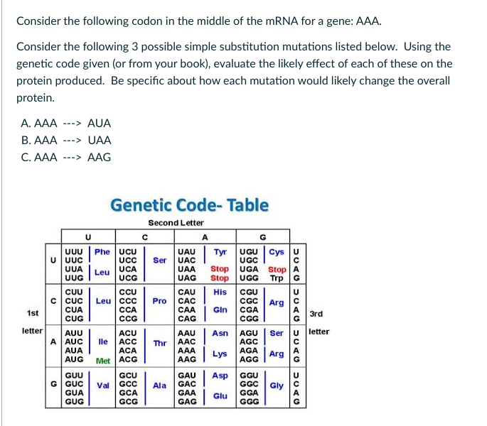 Solved Help solve. Consider the following codon in the | Chegg.com