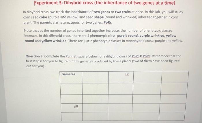 Solved Experiment 3: Dihybrid cross (the inheritance of two | Chegg.com