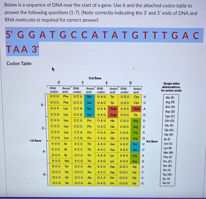 Solved Is this a template or coding strand?What is the | Chegg.com