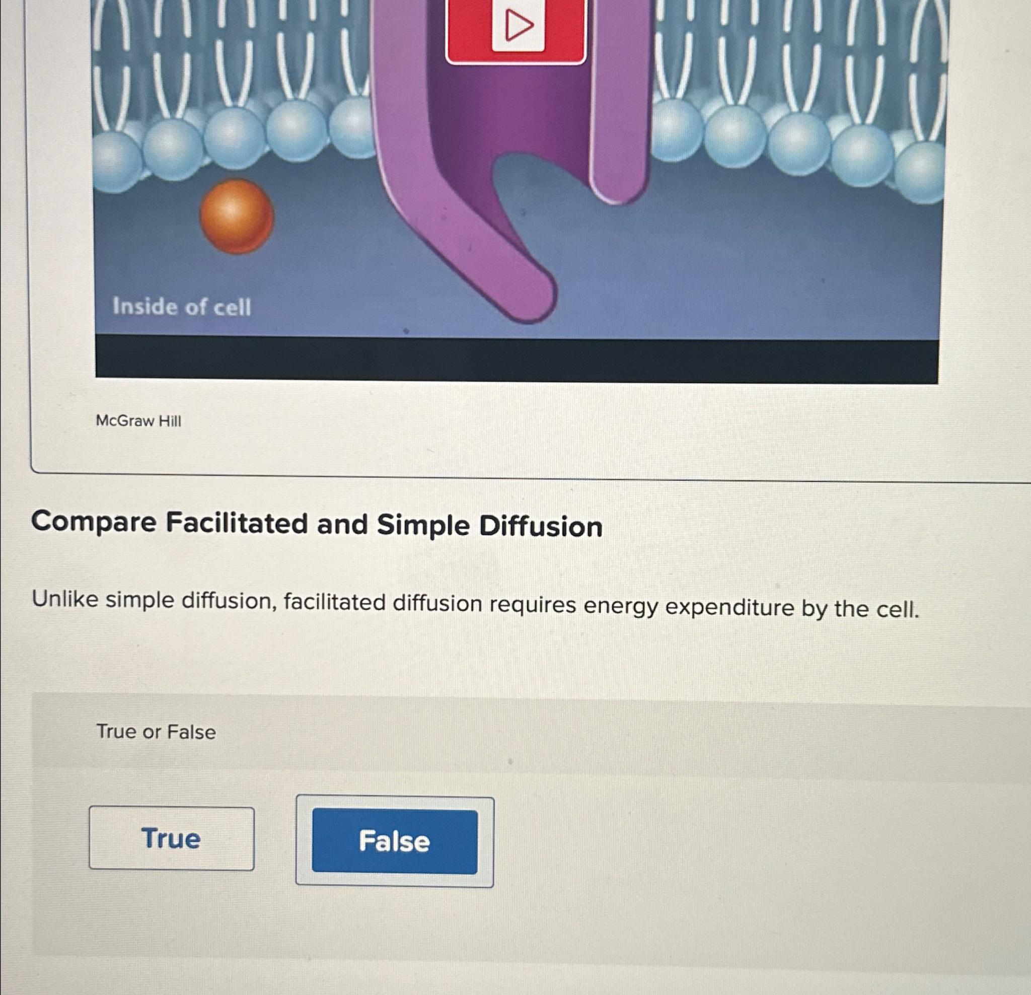 Solved McGraw HillCompare Facilitated and Simple | Chegg.com