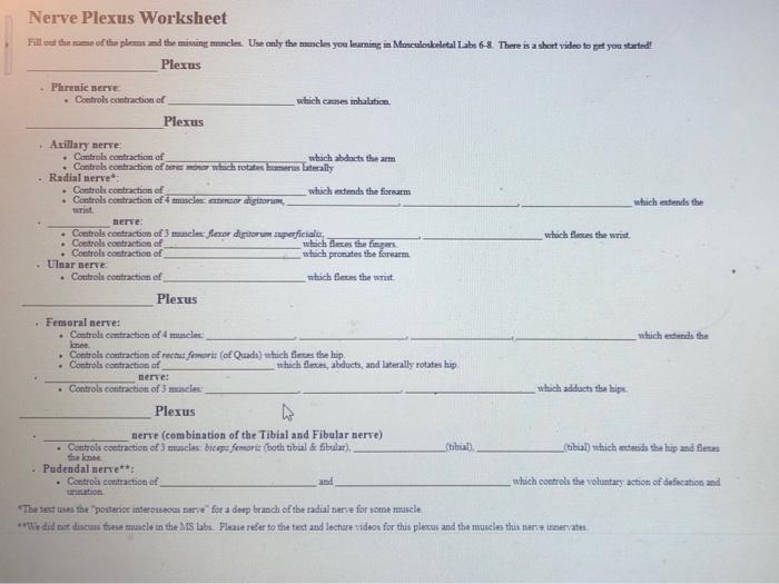 Solved Nerve Plexus Worksheet Fill out the name of the plans | Chegg.com