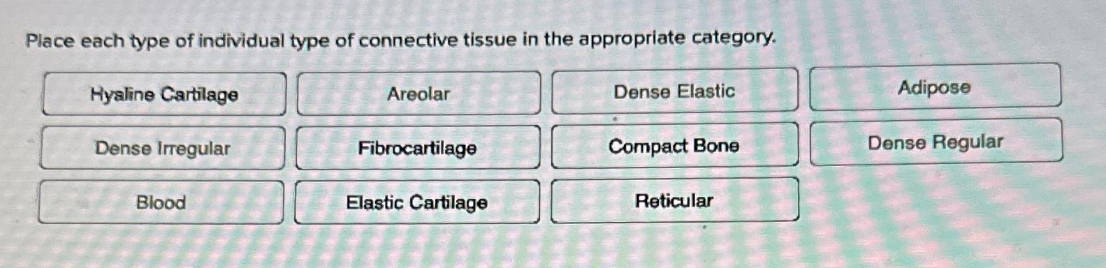 Solved Place each type of individual type of connective | Chegg.com