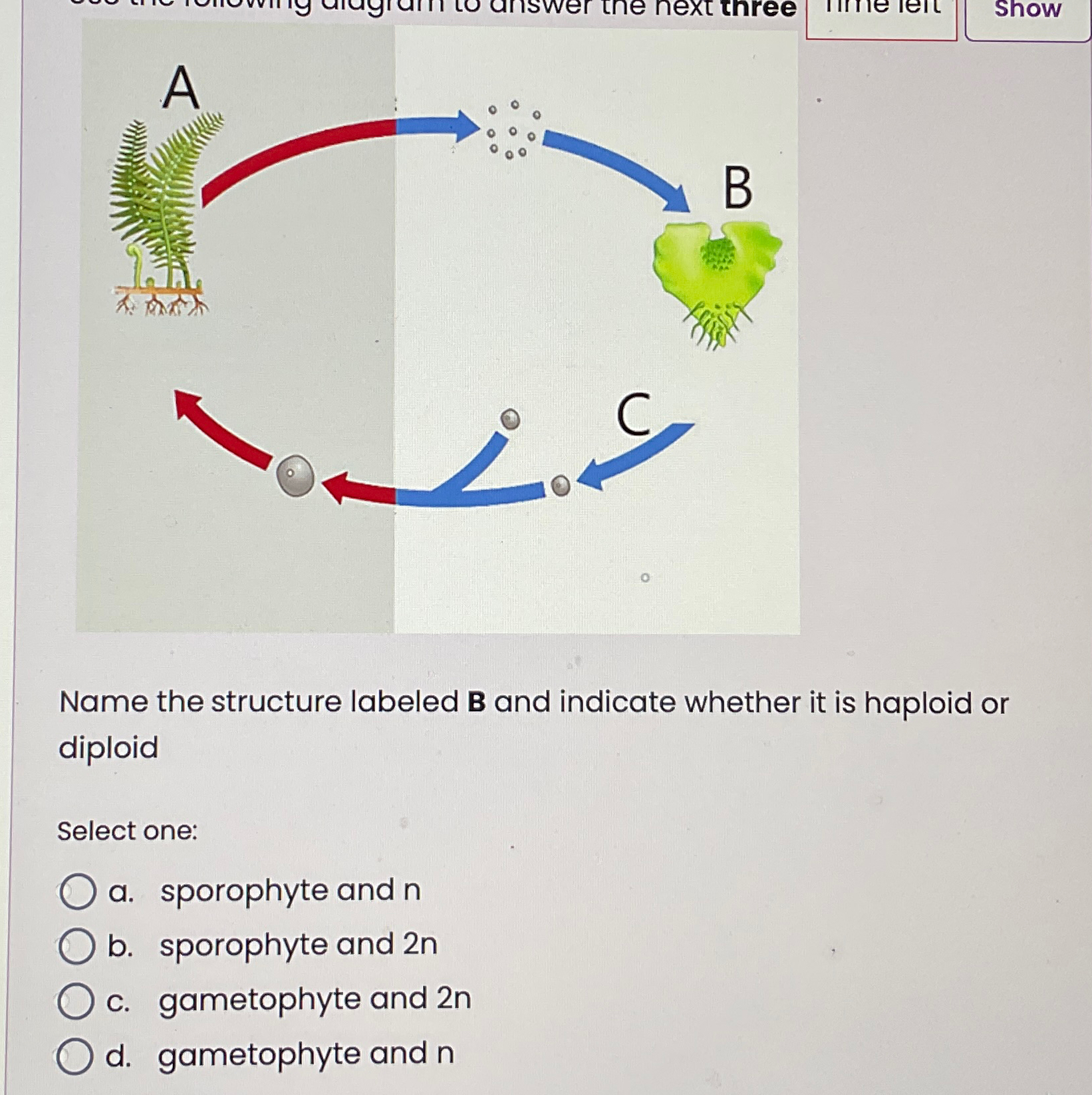 Solved ShowName the structure labeled B and indicate whether | Chegg.com