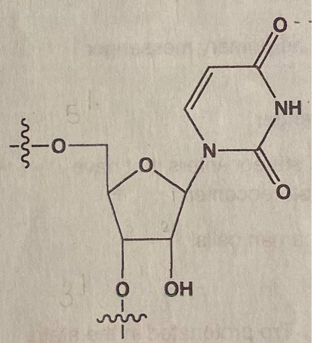 Solved A structure of DNA is shown below. Answer the | Chegg.com
