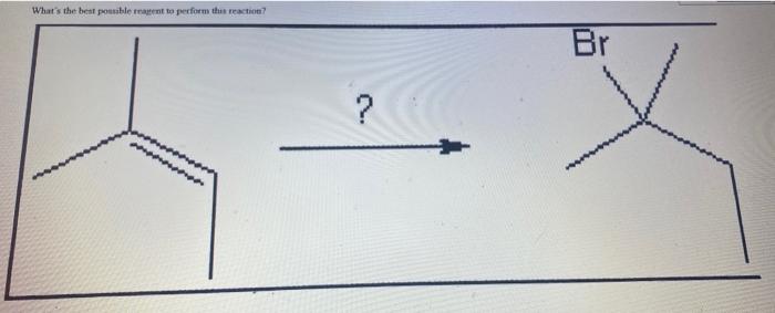 Solved a. B2⋅CH2Cl2 b. HBr c. N-bromosuccinimide d. Br2.H2O | Chegg.com