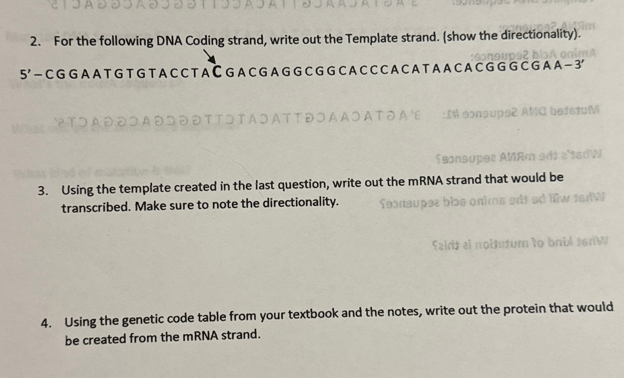Solved 2. ﻿For the following DNA Coding strand, write out | Chegg.com