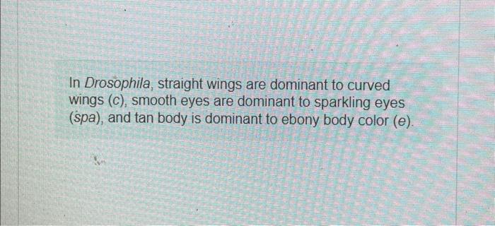 Solved in drosophila, straight wings are dominant to curved | Chegg.com