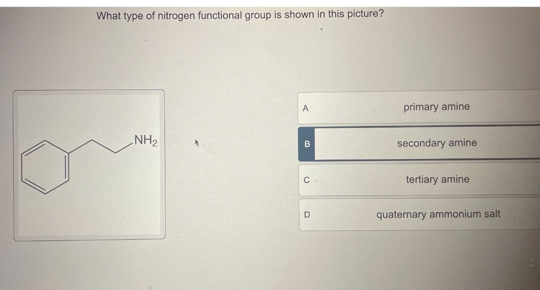 Solved What type of nitrogen functional group is shown in | Chegg.com