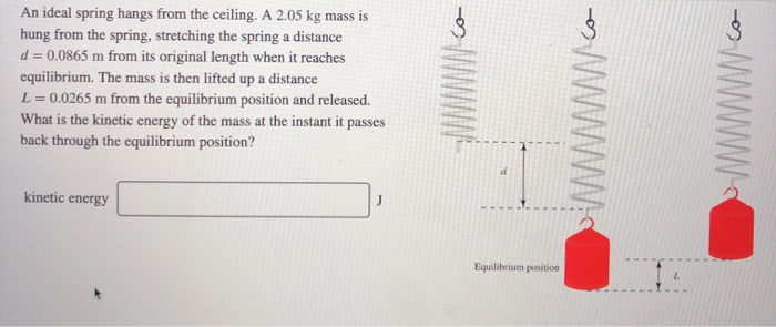 Solved o An ideal spring hangs from the ceiling. A 2.05 kg | Chegg.com