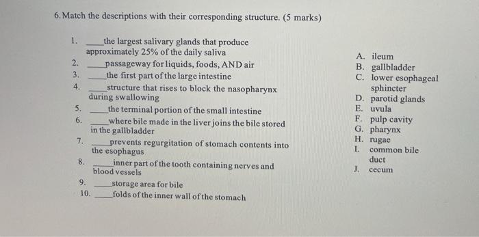Solved 6. Match the descriptions with their corresponding | Chegg.com