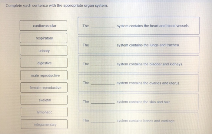 Solved Complete each sentence with the appropriate organ | Chegg.com