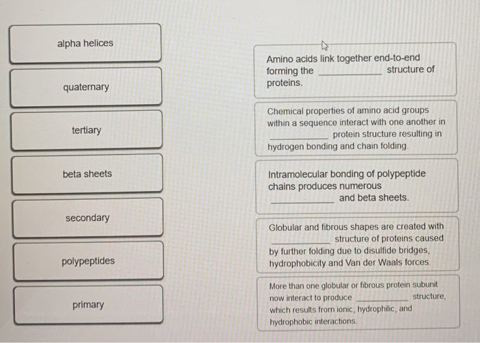 Solved Complete each statement by dragging the proper word | Chegg.com Solved Complete each statement by dragging the proper word | Chegg.com