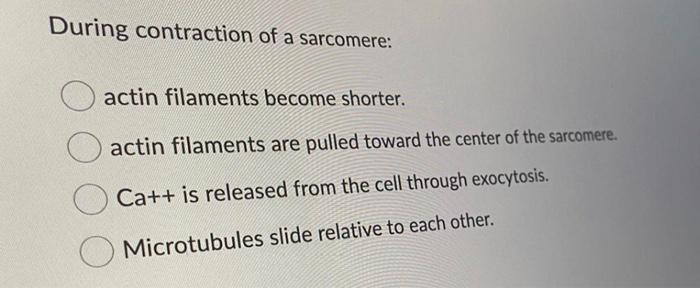 Solved During contraction of a sarcomere: actin filaments | Chegg.com