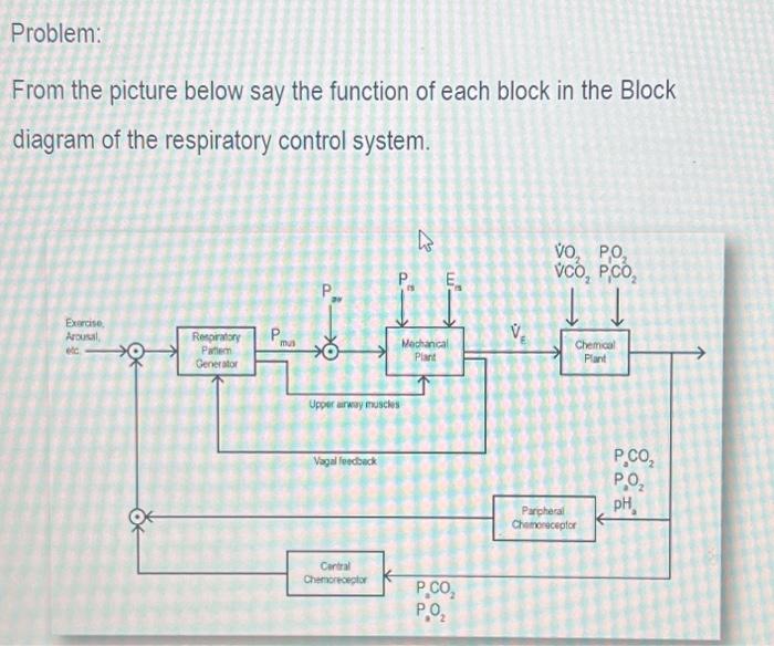 Solved Problem: From the picture below say the function of | Chegg.com