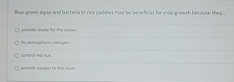 Solved Blue-green algae and bacteria in rice paddies may be | Chegg.com