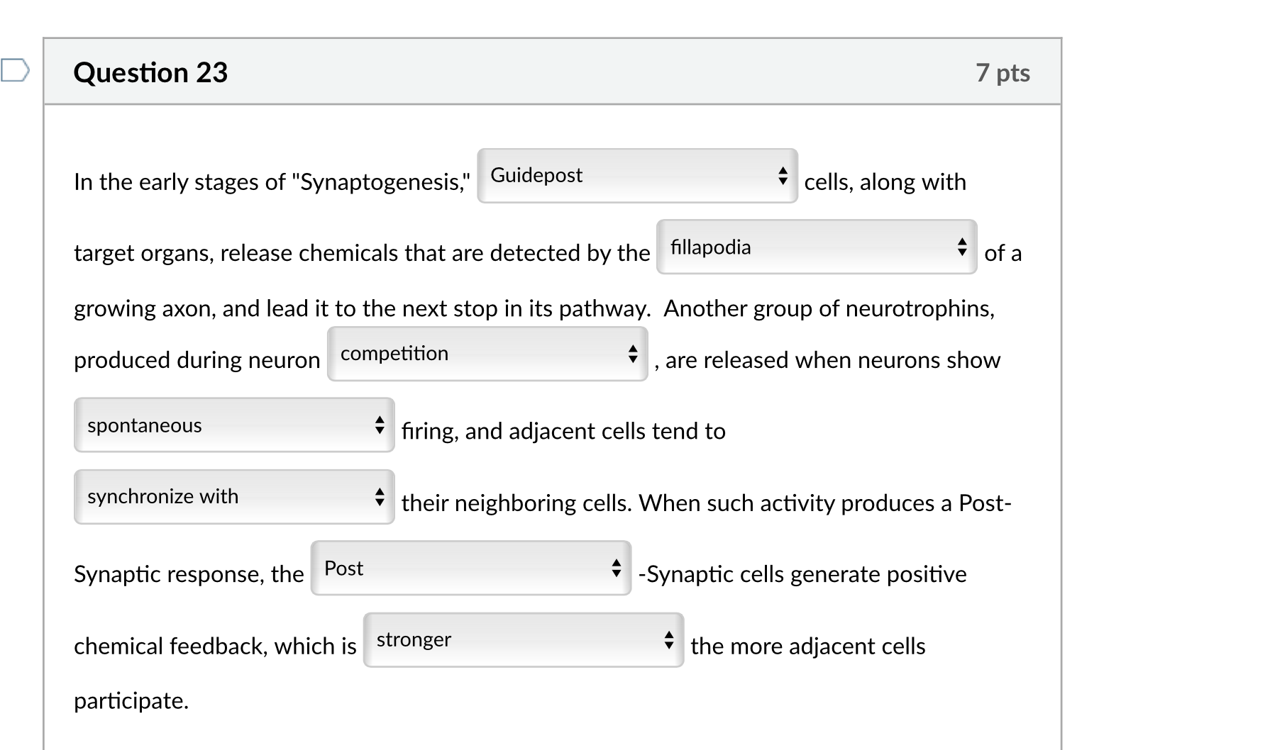 Solved Question 23In the early stages of "Synaptogenesis," | Chegg.com