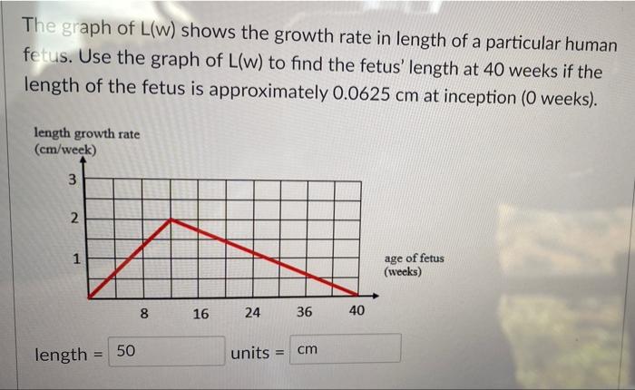 Solved The graph of L(w) shows the growth rate in length of | Chegg.com