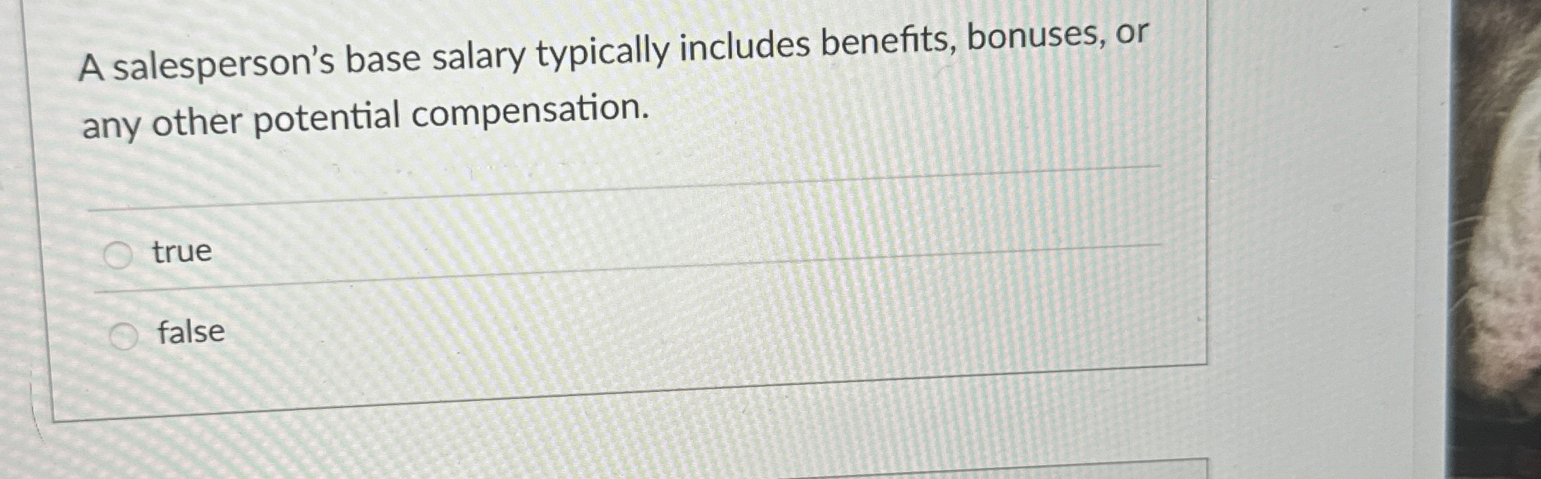Solved A salesperson's base salary typically includes | Chegg.com
