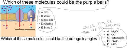 Solved 1) Which feature is found in both prokaryotic and | Chegg.com