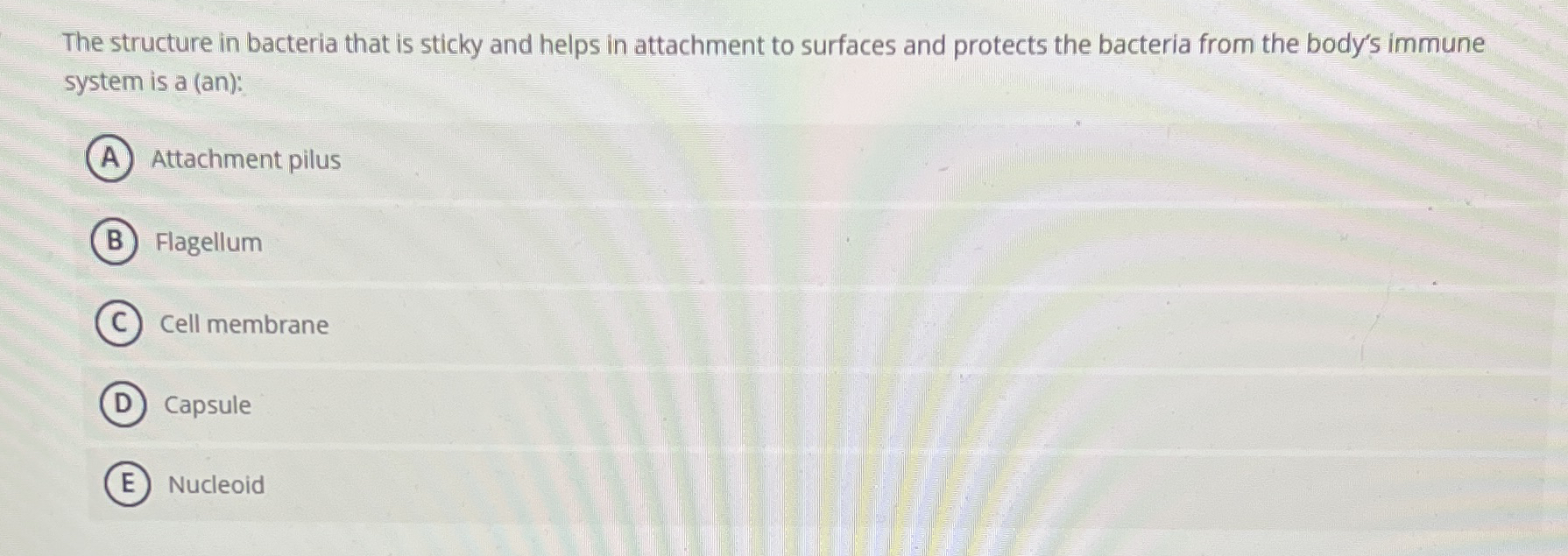 Solved The structure in bacteria that is sticky and helps in | Chegg.com