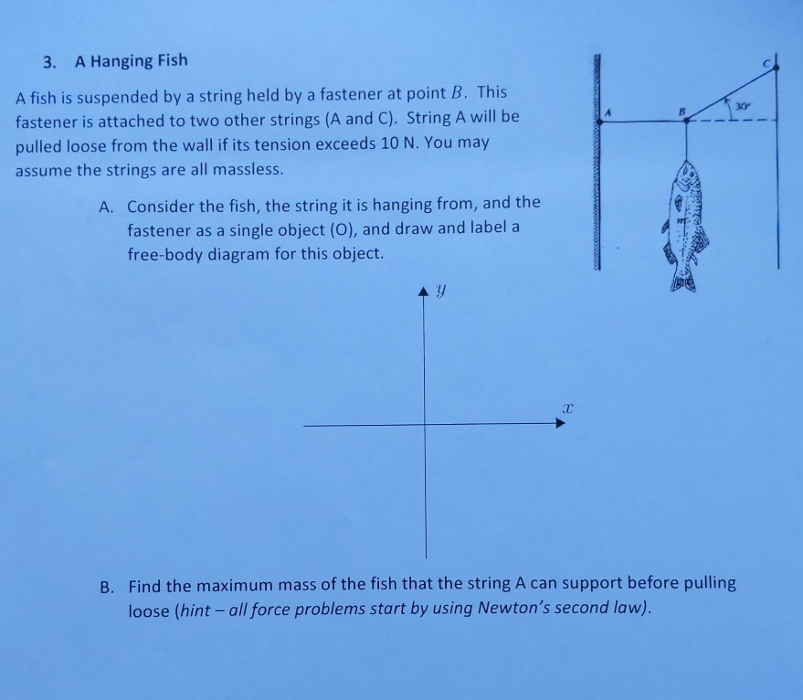 Solved 3. A Hanging Fish A fish is suspended by a string | Chegg.com