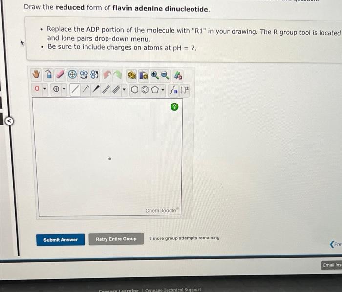 Solved Draw the reduced form of flavin adenine dinucleotide. | Chegg.com