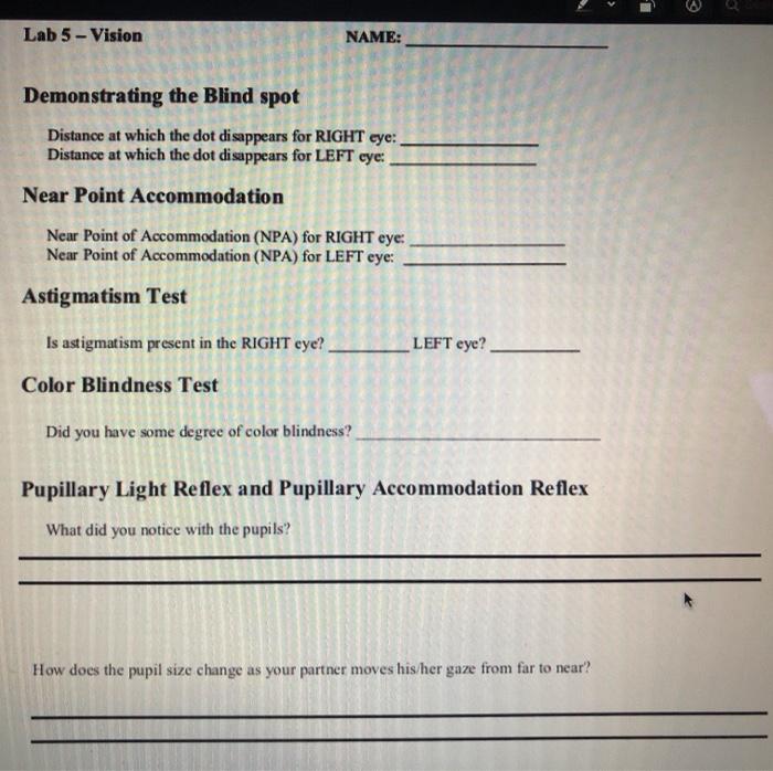Lab 5 - Vision In this lab you will discuss the | Chegg.com