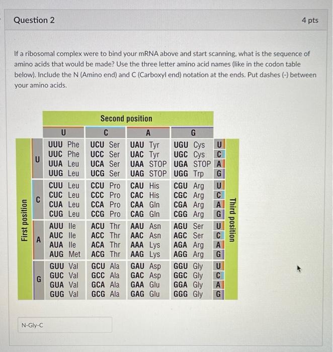 Solved The following DNA sequence is located near the | Chegg.com
