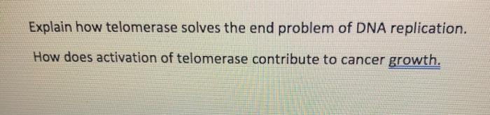 Solved Explain how telomerase solves the end problem of DNA | Chegg.com