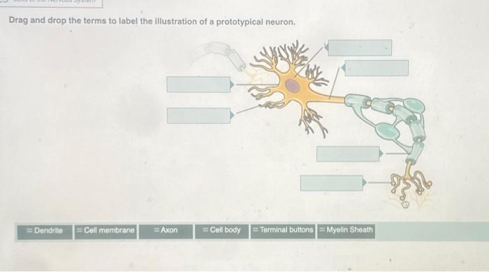 Solved Refer to the given descriptions and choose the | Chegg.com