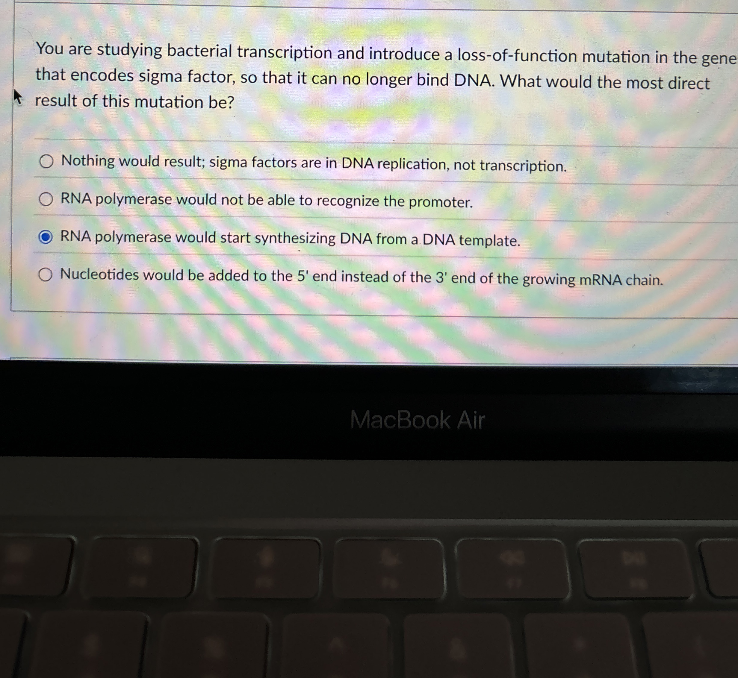 Solved You are studying bacterial transcription and | Chegg.com