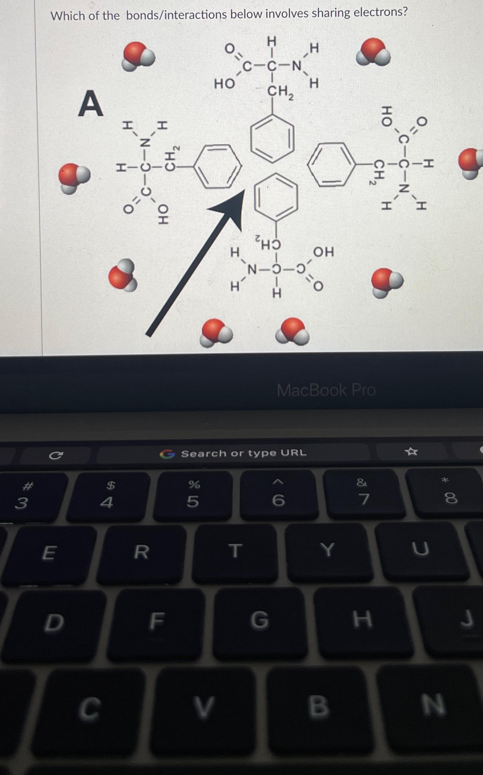 Solved Which of the bonds/interactions below involves | Chegg.com