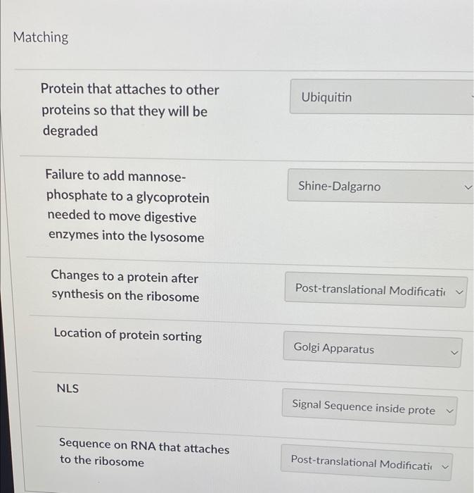Solved Matching Protein that attaches to other proteins so | Chegg.com