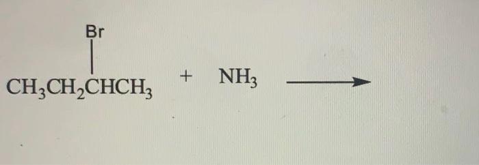 Solved Br + CH3CH2CHCH NH3 | Chegg.com