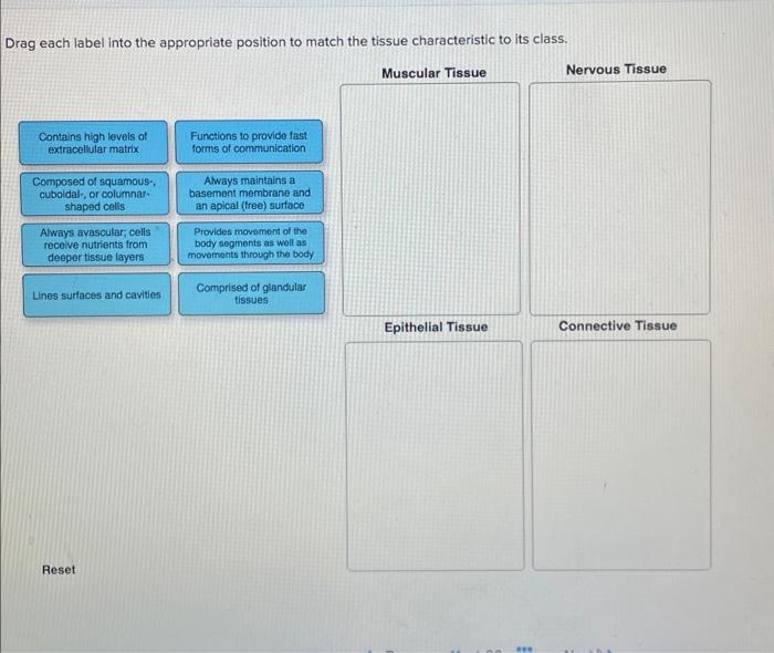 Solved rag each label into the appropriate position to match | Chegg.com