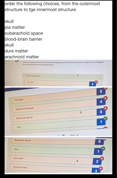 Solved order the following choices, from the outermost | Chegg.com